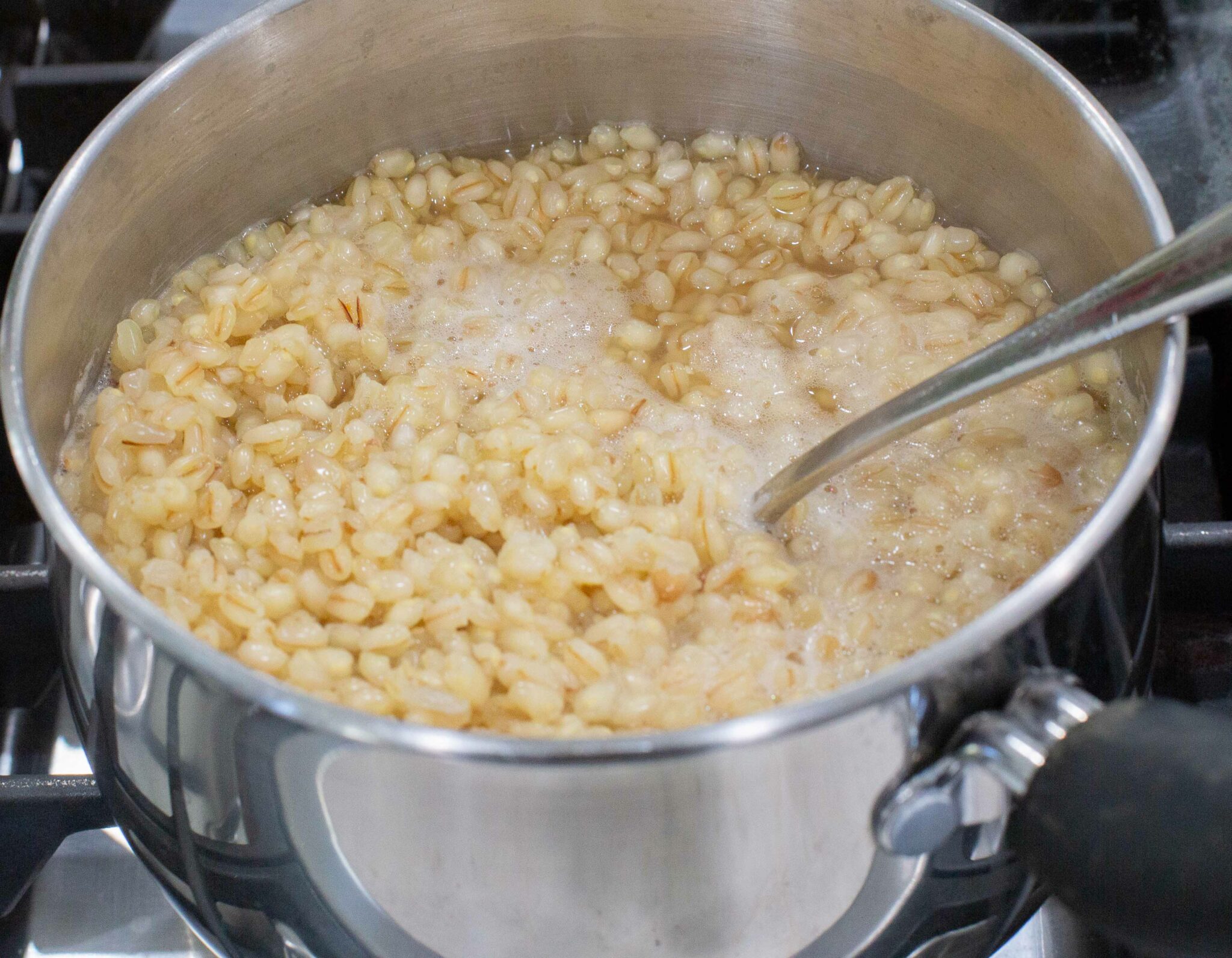 Mote con huesillos - La Cocina Chilena de Pilar Hernández