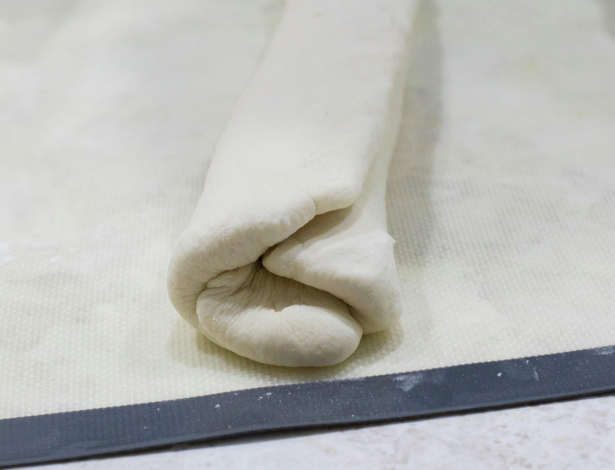 Colizas chilenas - La Cocina Chilena de Pilar Hernández