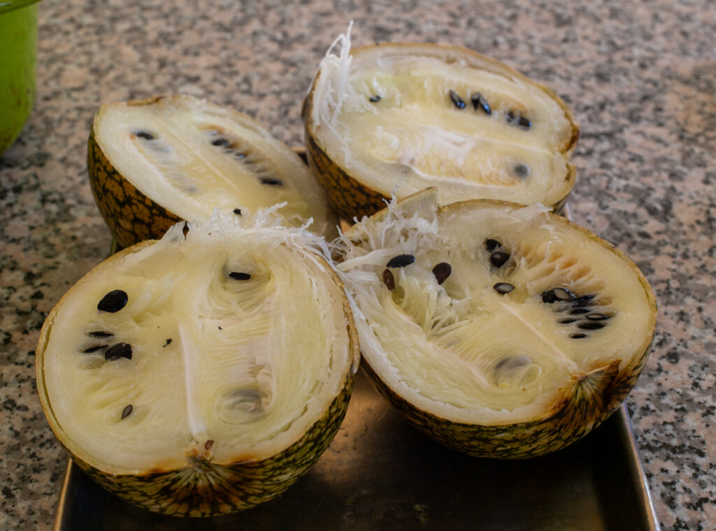 Mermelada de alcayota - La Cocina Chilena de Pilar Hernández