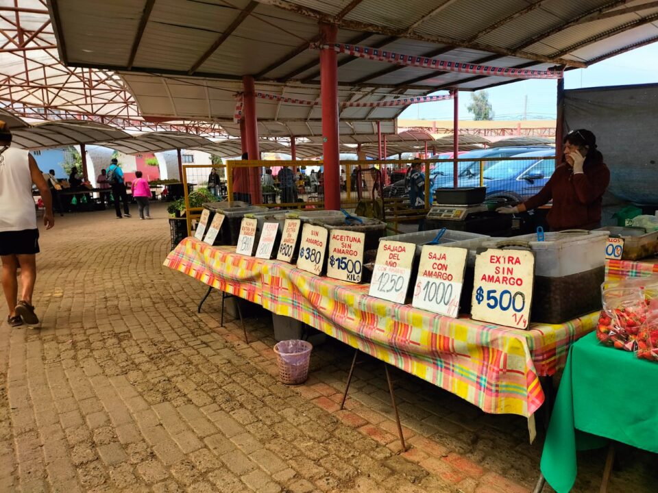 Pichanga chilena - La Cocina Chilena de Pilar Hernández